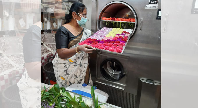 Oorvi gives 'new life' to wilted flowers