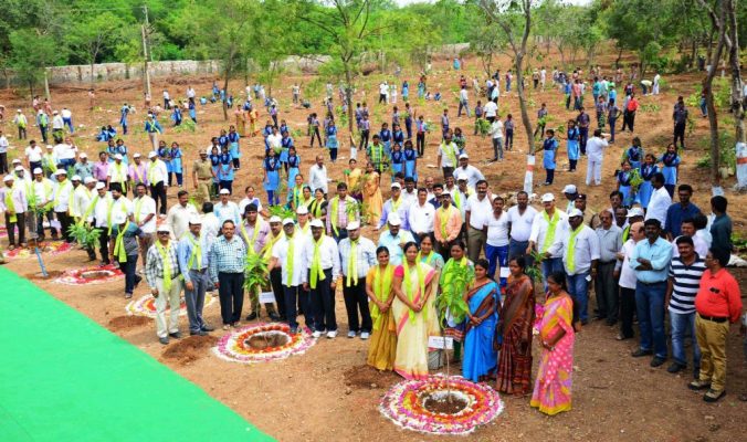 SCCL to plant 2 lakh saplings as part of Haritha Haram programme