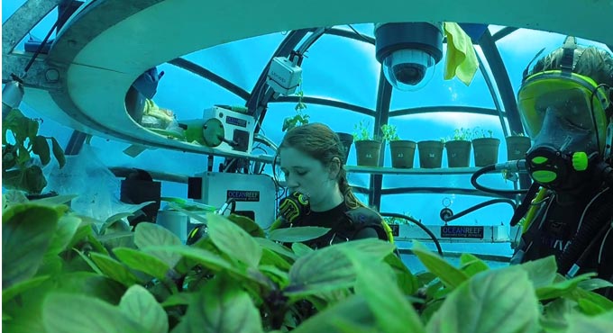 Underwater Farming explained