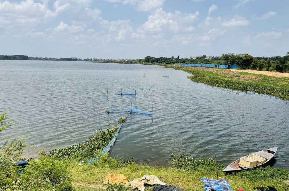 Spread your wings wide at Fox Sagar lake in Hyderabad