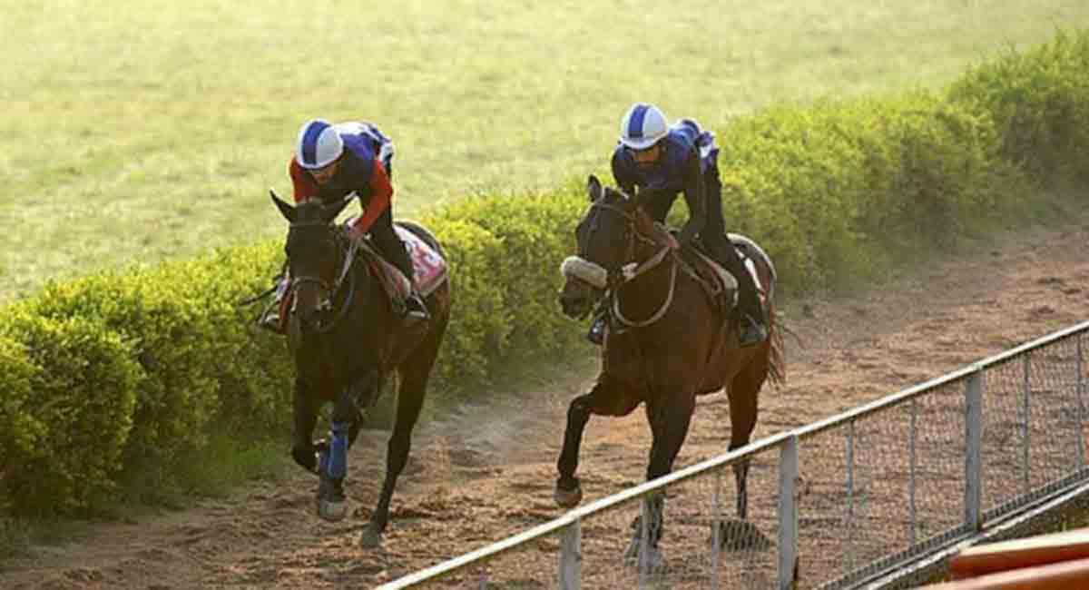 Juliette looks has the edge in Chennai feature