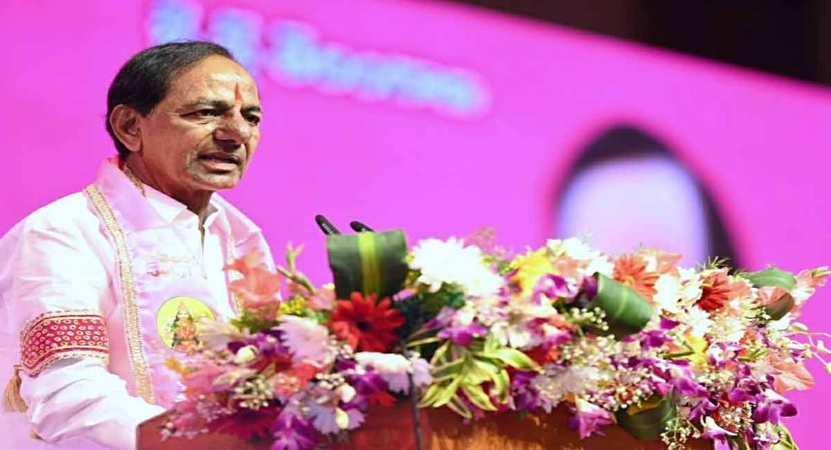 Hyderabad turns pink on TRS formation day