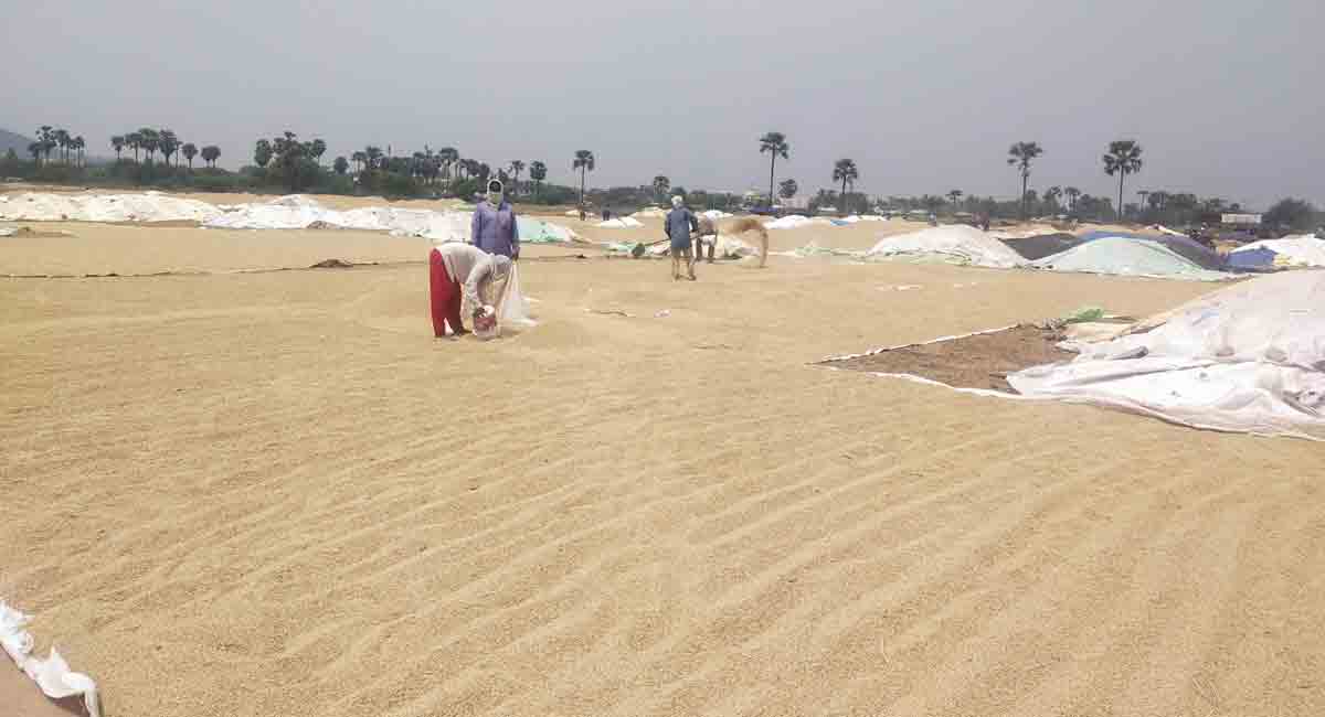 Paddy procurement kickstarted across Telangana