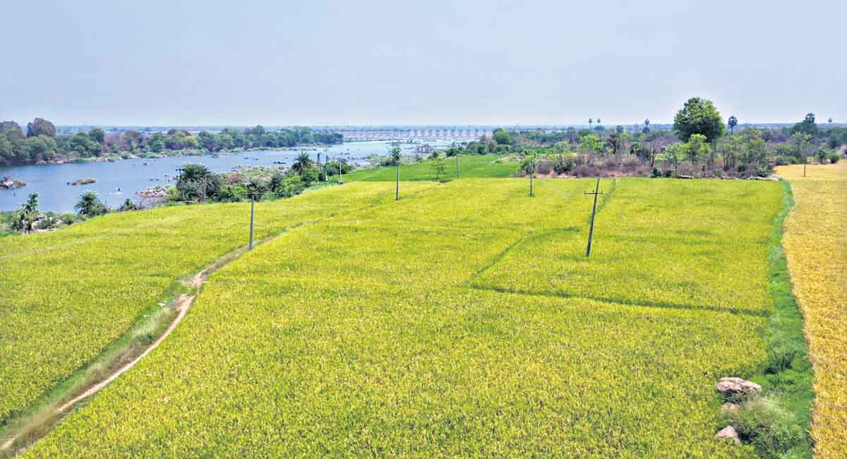 Rural areas in Telangana making a mark nationally