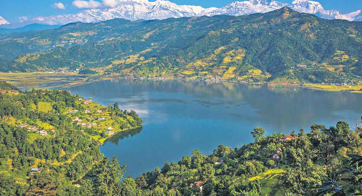 Distinct zones of deep lake ecosystems