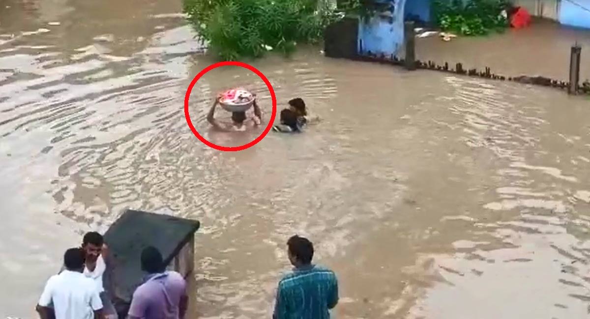 Telangana giving push to oil palm cultivation